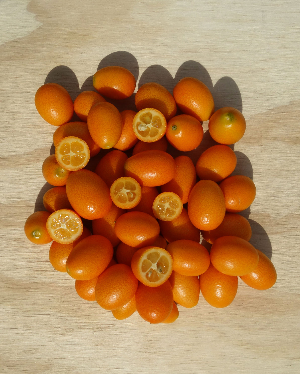 Still Growing! | Kumquats – The Pfarmstand